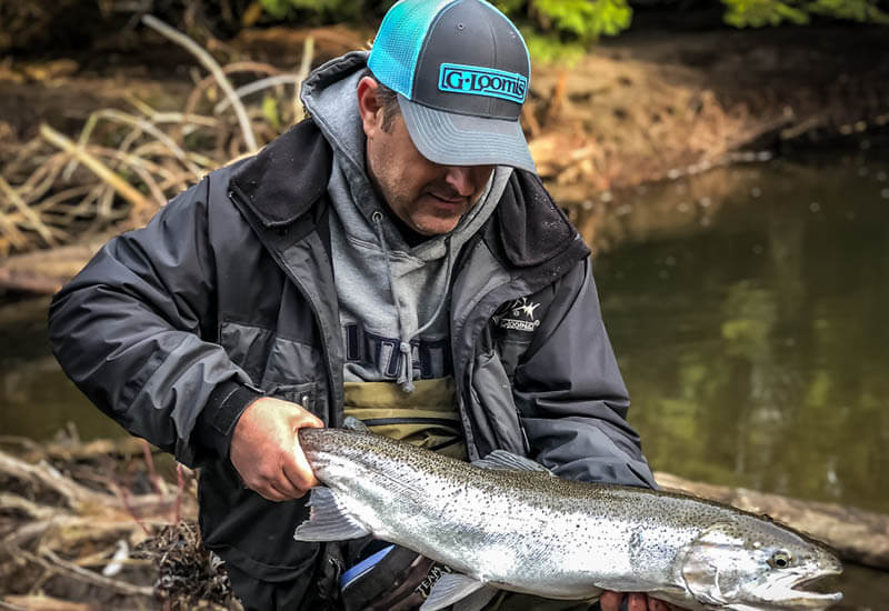 Collections – G. Loomis US